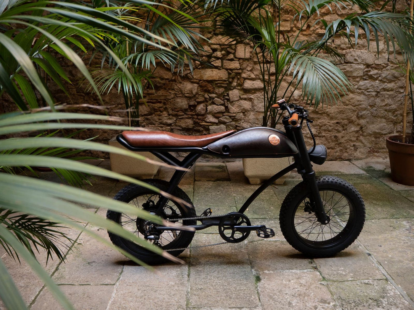 Rayvolt Bikes – Vintage Iron Cycles